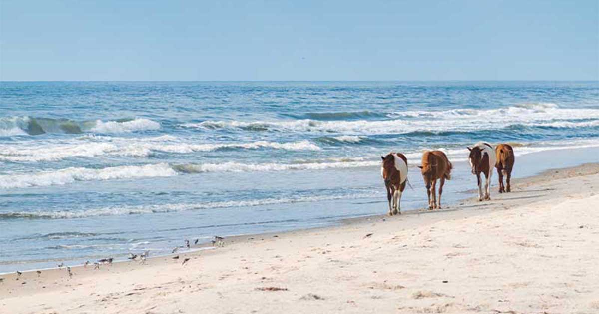 11 Best Beaches in the US to Visit in 2025