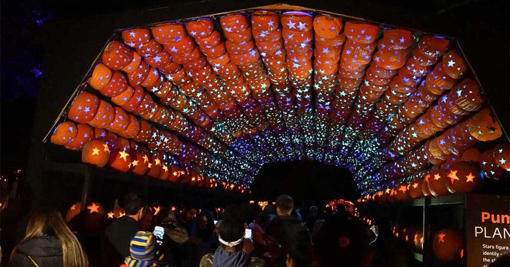 The 10 Best Fall Harvest Festivals in the US 2024