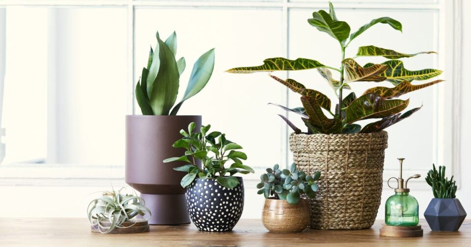 10 Best Indoor Planters to Keep Your Houseplants Happy In Style