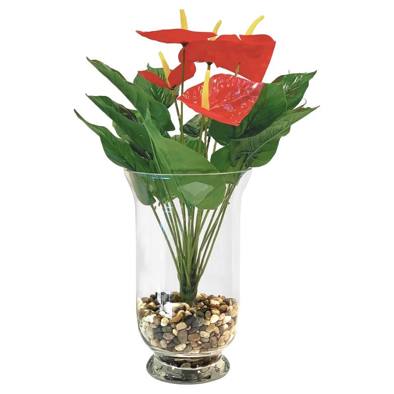 WGV Clear Short Hurricane Vase - Drew & Jonathan
