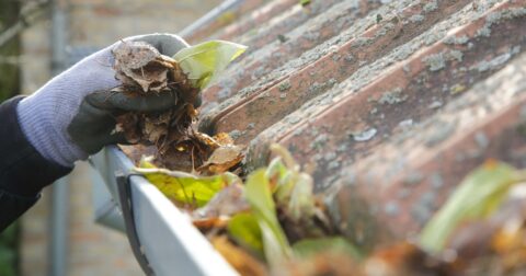 How to Clean Your Gutters in a Few Easy Steps